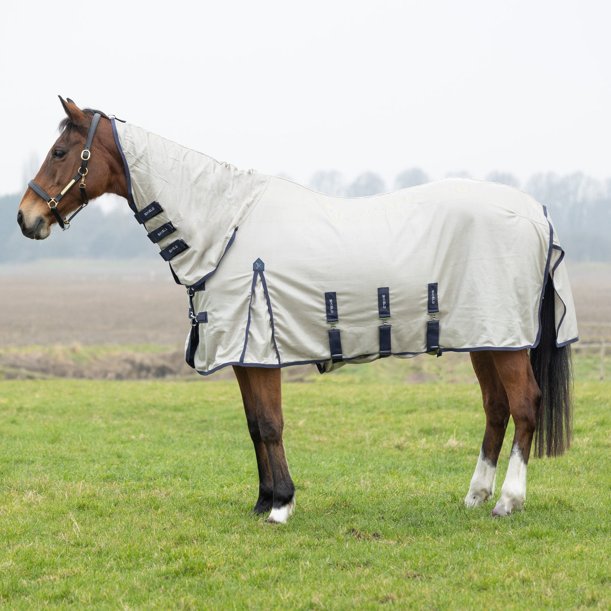 DefenceX Shield Rain-Repel Mesh Combi Fly Rug – GS Equestrian