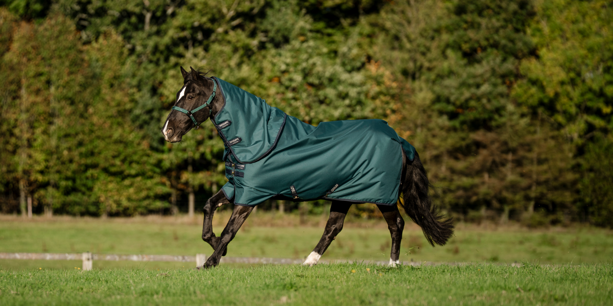 Horseware Ireland Turnout Rugs, Stable Rugs & More | GS Equestrian ...