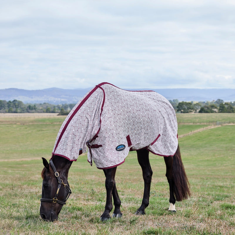 Weatherbeeta | Turnout Rugs, Fly Rugs, Clothing & More | GS Equestrian