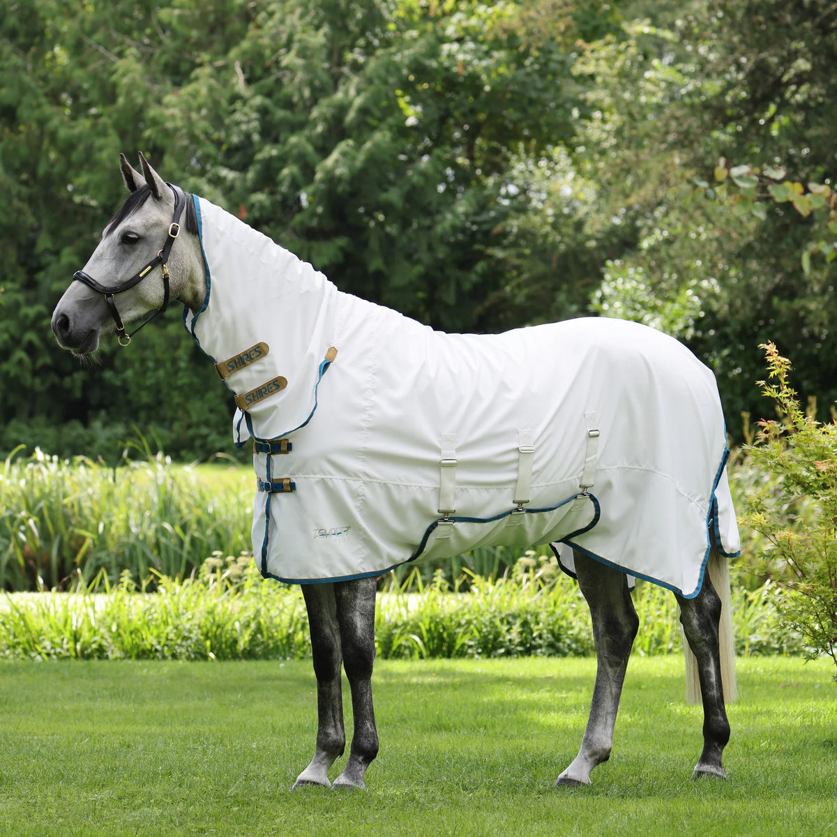 Shires Tempest Plus Sweet-Itch Combo Rug – GS Equestrian