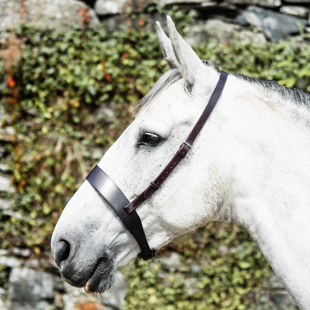Mackey Classic Wide Flat Cavesson Noseband – GS Equestrian