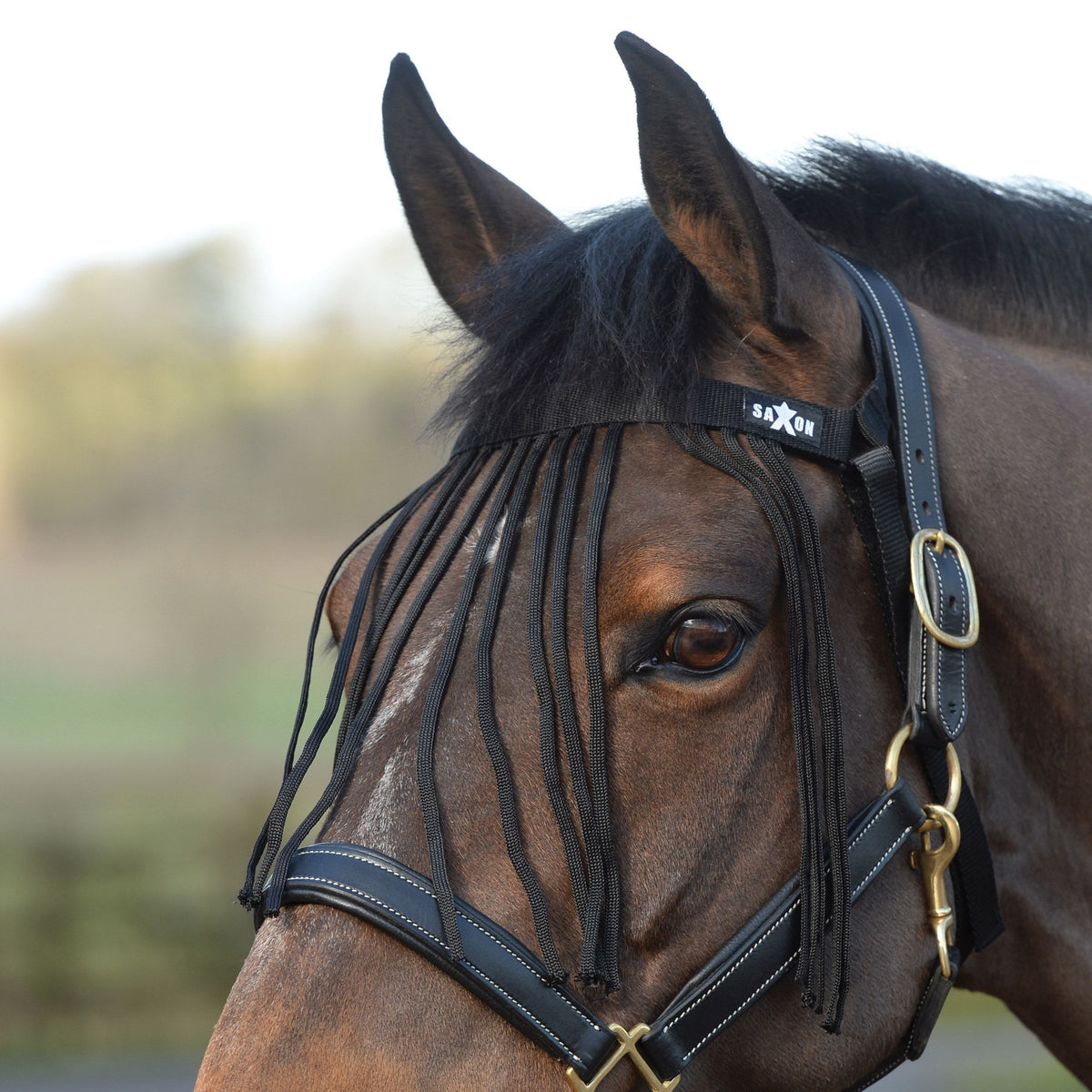 Saxon Fly Fringe – GS Equestrian